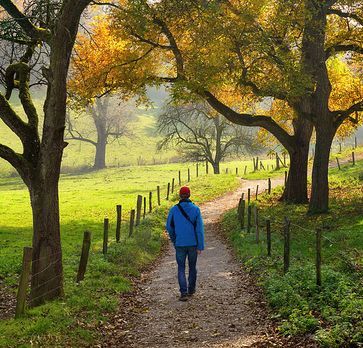 Taking Another Way Home – The Wisdom Years