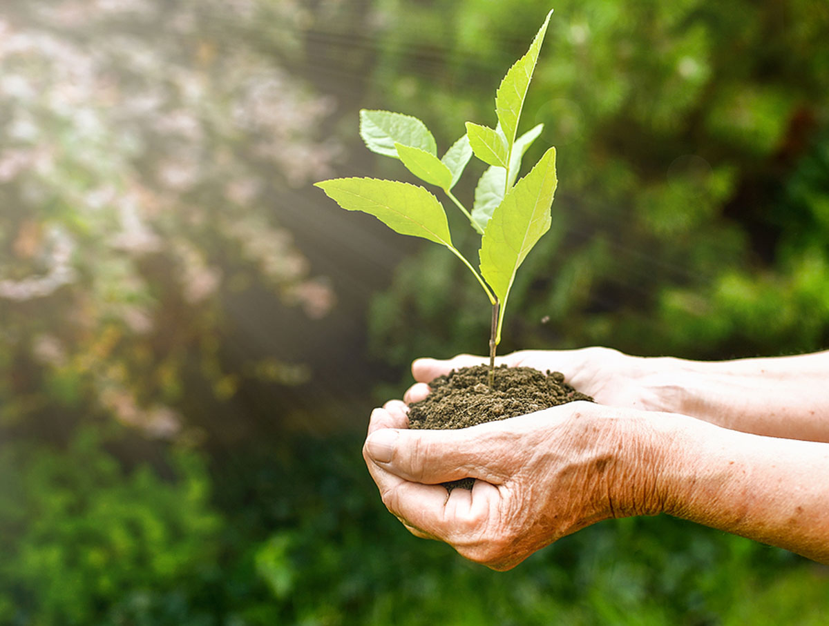 Passing on the Blessing – The Wisdom Years