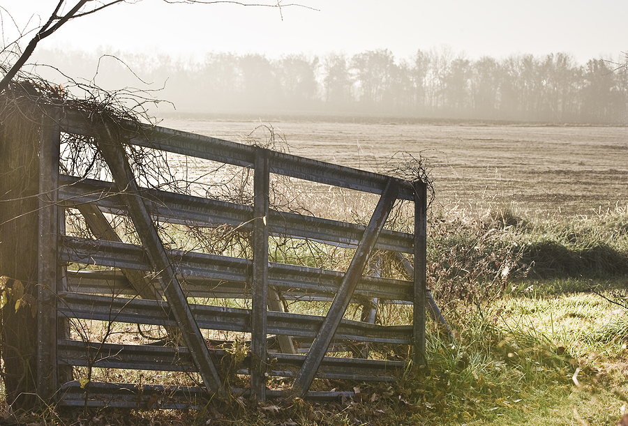 Crossing Thresholds – The Wisdom Years