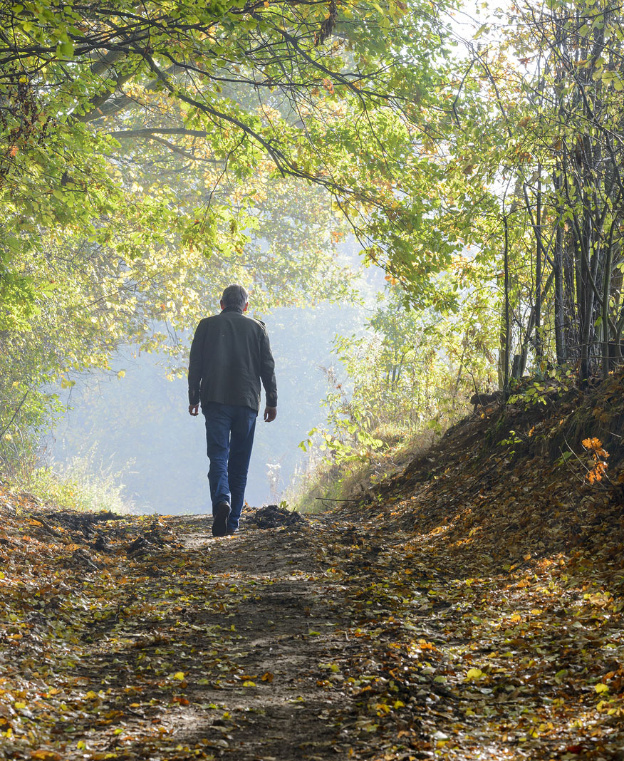 Epiphany: The Lighted Path – The Wisdom Years