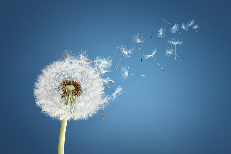 Sacred Time – chapter 1, The Breath – The Wisdom Years